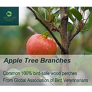 Luonfels Bird Perches Apple Wood Large Parrot Perch, 18" Ladder for Birds Cages Parakeet Conure Cockatiel Toys Accessories Pack of 4