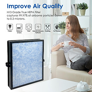 Flintar MK04 True HEPA Replacement Filter, Compatible with AROEVE Air Purifier MK04, MG04JH and DH-JH04, H13 Grade True HEPA Filter, 2-Pack