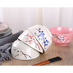 VanEnjoy Set of 4 Japanese Style Ceramic Rice Bowl,4 Assorted Color Cherry Blossoms Among Snow Flake Pattern Bowls Set