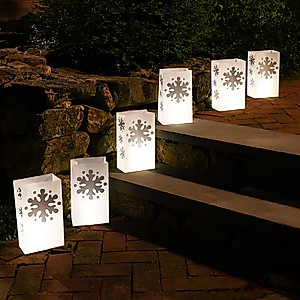 LumaBase 82236 Battery Operated LED Luminaria Kit, Snowflake