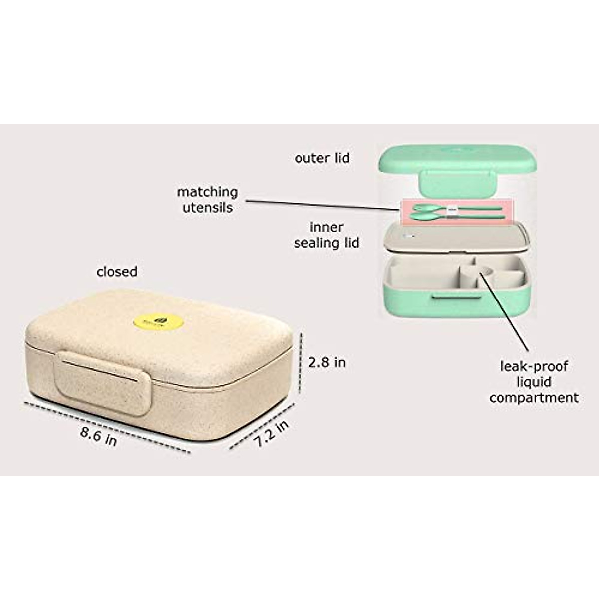 Eco-Life Home Design Bento Box - Eco Friendly, Leakproof Bento Lunch Box. Five Compartment, Wheat Fiber Bento Box for Kids and Adults. Microwave and Freezer Friendly Edo Box