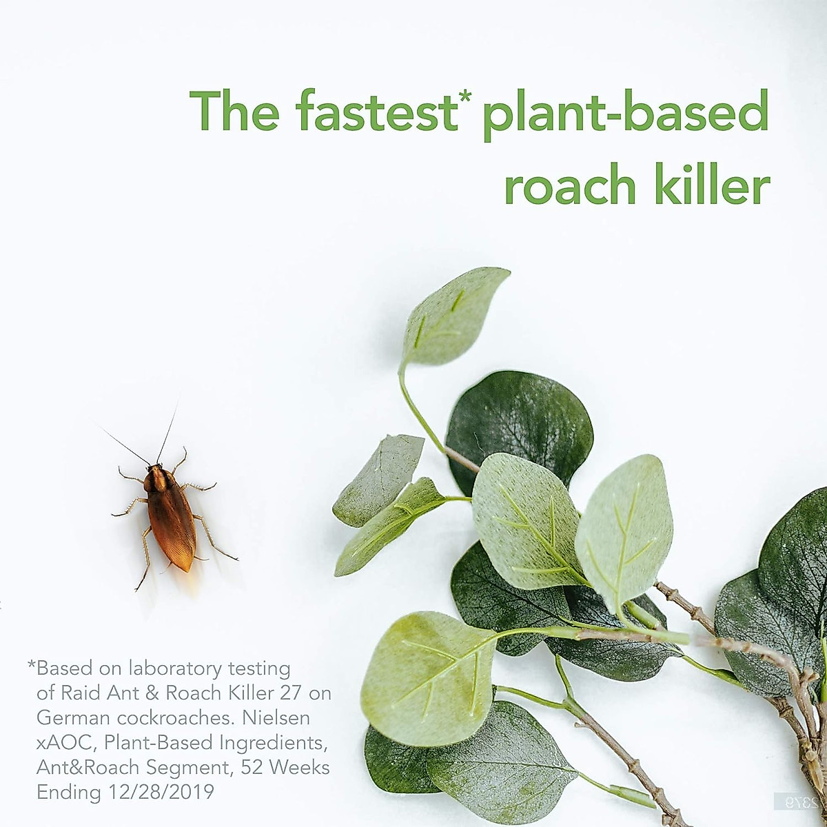 Raid Essentials Ant Spider, and Roach Killer Aerosol Spray, Child & Pet Safe, Kills Insects Quickly, 10 Ounce