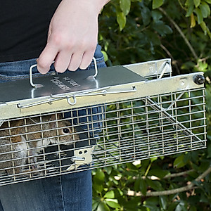 Havahart 1025 Small 2-Door Humane Catch and Release Live Animal Trap for Squirrels, Chipmunks, Rats, Weasels, and Small Animals