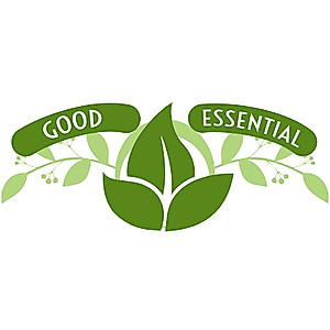 Good Essential - Professional Holiday Fragrance Oil Set Pack of 10 5ml Peppermint, Apple Cinnamon, Hot Chocolate, Cherry, Pumpkin Pie, Candy Cane, Gingerbread, Snickerdoodle, Cinnamon, Brown Sugar