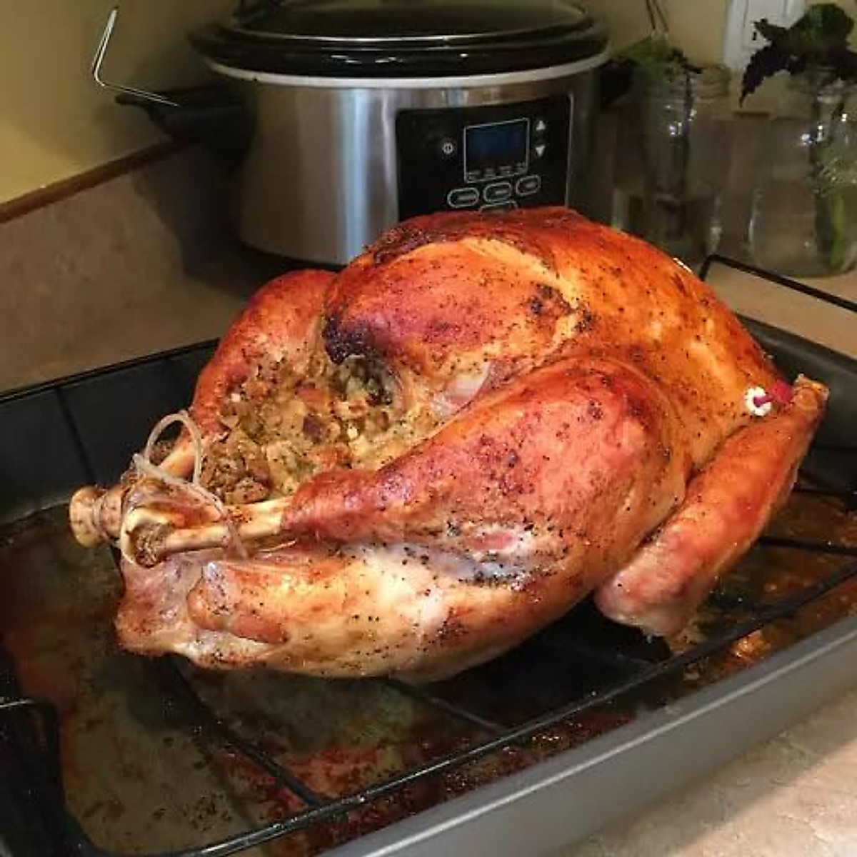 BBQ Future 17.3-Inch Nonstick Roasting Pan with Stainless Steel Rack, Turkey Roaster Pan for Turkey Chicken Meat & Vegetables, Rectangular Roasting Pans for Ovens Heavy Duty & Dishwasher Safe