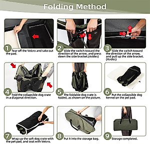 Pettycare 36 Inch Stainless Steel Collapsible Dog Crates for Large Dogs, 4-Door Soft Sided Kennel for Travel, Portable Foldable Pet Crate with Durable Mesh Windows, Indoor & Outdoor, Olive Green