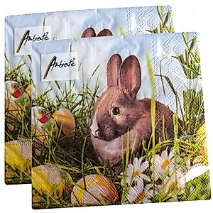 20-ct 13x13 Big Bunny Napkins Easter Napkins Easter Paper Napkins Easter Napkins for Decoupage Easter Napkins Paper Easter Cocktail Napkins Bunny Dinner Lunch Beverage Guest Napkins Disposable