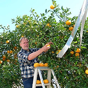 Reflective Scare Tape, 1.9” by 350ft Double Sided Tape to Keep Away Birds, Pigeons, Crows, Woodpecker, and More