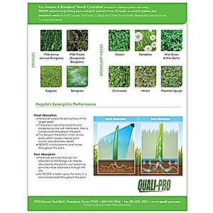 Quali-Pro Negate 37WG Herbicide