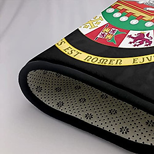 Coat of Arms of Puerto Rico Area Rug Large Size Family Living Room Bedroom Office Area Carpet 72"x48"