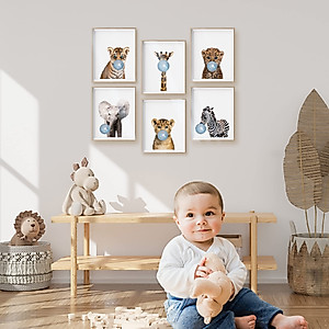 Designs by Maria Inc. Safari Blue Bubblegum Baby Animals Nursery Decor Art - Set of 6 (UNFRAMED) Wall Prints 8x10 (Blue)