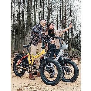 Hipeak Bona Electric Bike for Adults, Ebike 750W/48V/15Ah, 20" x 4.0" Fat Tire Electric Bike Folding with Removable Battery, Step-Over Folding Adult Electric Bicycles Front Shock Absorber