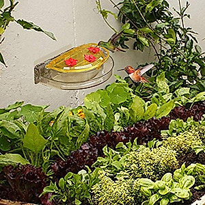 Lulu Home Hummingbird Feeder, 8 Fluid Ounces Flower Bird Feeder with 3 Feeding Stations for Outdoors (1)