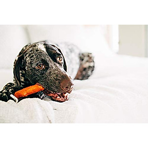 Petstages Dogwood Wood Alternative Dog Chew Toy, Mesquite, Medium