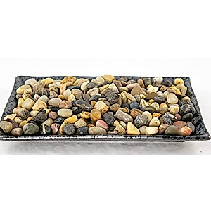 7.75" Rectangular Black Stain Ceramic Humidity/Drip Tray for Bonsai Tree + Rock