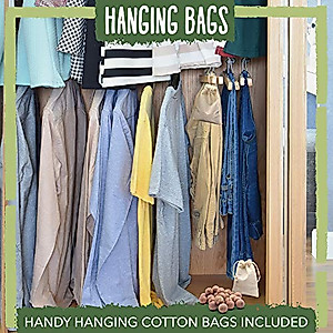 ecoKiwi Cedar Blocks for Clothes Storage - 40 Pack Cedar Balls - Natural Oil Hanger Planks & Chips for Closets - Non Toxic Cedarwood Balls with Sandpaper - Drawer Air Freshener Protection & Control