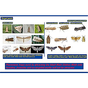 Dual Moth Traps for Clothes and Pantry Highly Effective All-Around Moth Traps,Pro Cloest Essentials Get Rid of Wool Moths with Natural Safe and Odor-Free Dual Premium Pheromone