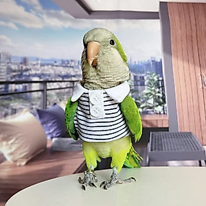 Bird Costume Bird Diaper Flight Suit Bird Summer Clothes Cosplay Photo Prop for Parrots Lovebird Parakeet Cockatiel Small Animals Apparel (Without Diaper,Budgie)