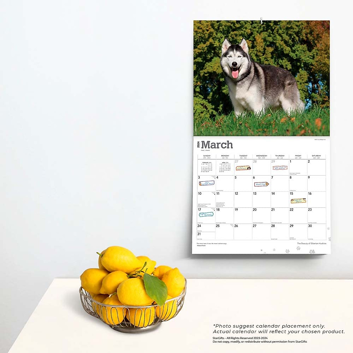 The Beauty of Siberian Huskies | 2024 14 x 24 Inch Monthly Deluxe Wall Calendar | Sticker Sheet | StarGifts | Animal Dog Breeds Husky