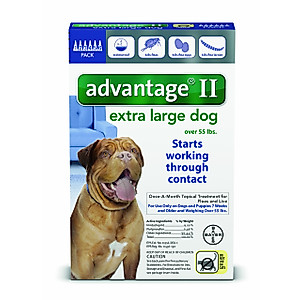 Advantage - Blue Box for Dogs over 55 pounds - 6 pack
