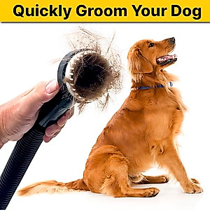Shop-Vac 9190400 1.1/4-Inch Dog Grooming Tool,Black