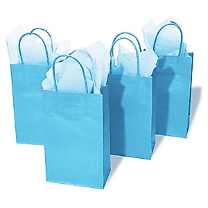 DjinnGlory 24 Pack Small Blue Paper Gift Bags with Handles and 24 Blue Tissue Wrapping Paper for Birthday Wedding Baby Shower Party Favors Goodies, 9x5.5x3.15 Inch (Blue)