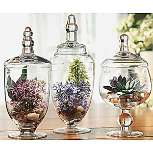 Glaver's Apothecary Jars With Lids, Set Of 3 Candy Jars, Countertop Canister, Glass Décor, Restroom Accessories, Buffet Décor, For all your Vanity Storage and much more