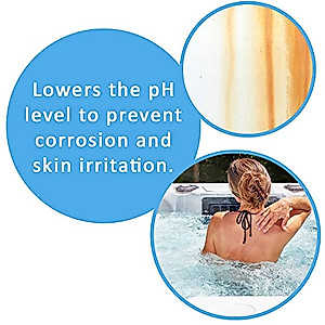 Puri Tech Spa pH Down 6 Pack Lowers pH and Total Alkalinity Increasing Sanitizer Effectiveness in Spa Water 1.5lbs