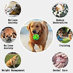 KKBDOO Squeaky Ball for Dogs, Interactive Dog Toys for Boredom, Pet Toys for Dogs, Fun Engaging Sounds Wiggle Ball, Active Rolling Ball Dog Toys for Small Dogs-2.75 inch