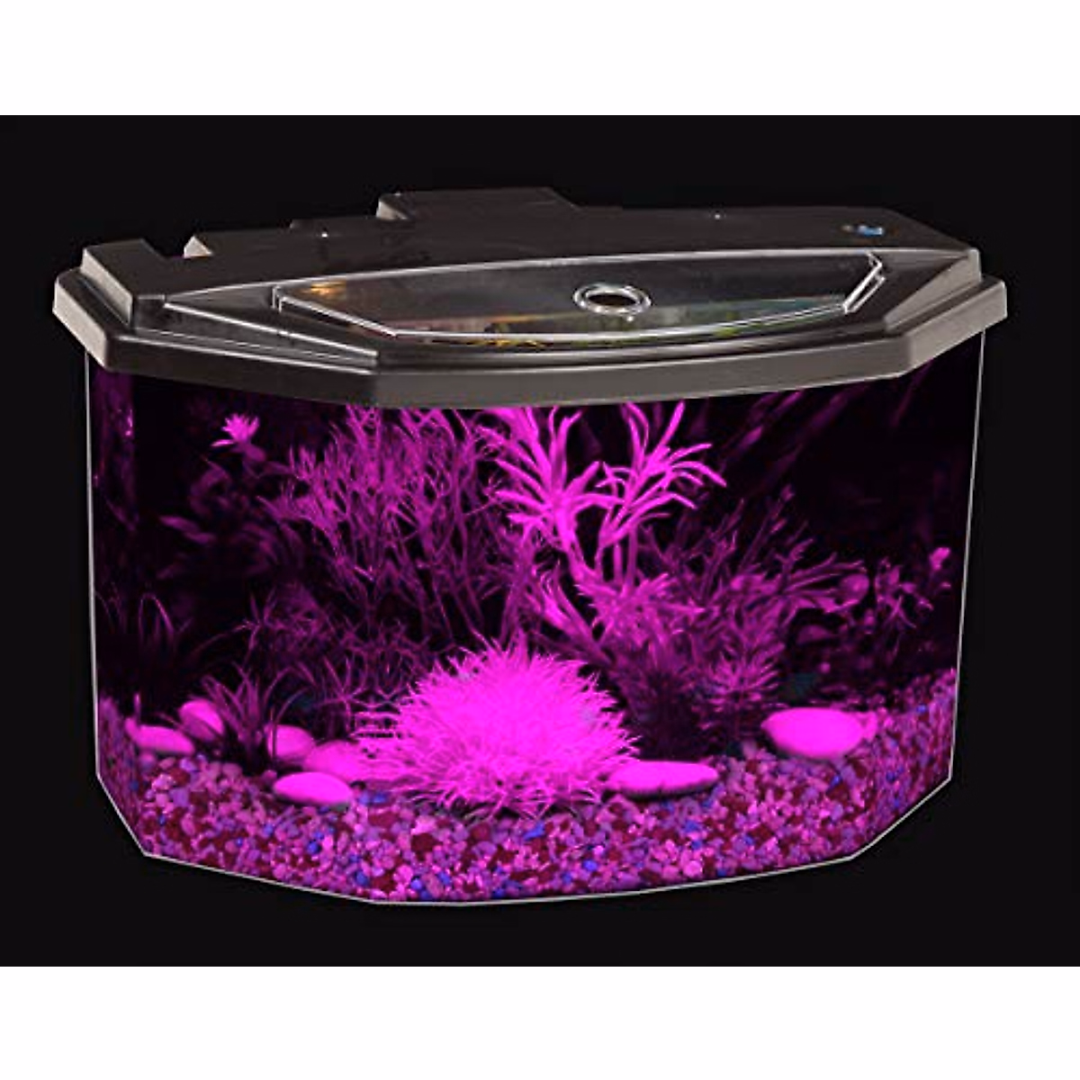 Koller Products Plastic 3-Gallon Aquarium Starter Kit with 7 Colors LED Lighting and Complete Filtration, Ideal for a Variety of Tropical Fish , Betta Fish, Tropical Fish, Cichlids, Ornamental Shrimp