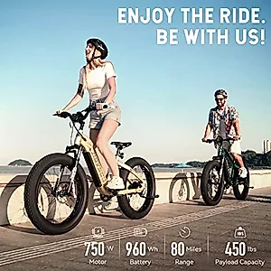 HOVSCO Electric Bike for Adults, 750W Motor Torque Sensor 28Mph Max Speed Ebike, 80Mile Range 48V 20Ah LG Battery Electric Mountain Bike, 26"x4" Fat Tire Adult Electric Bicycles, Shimano 7 Speed