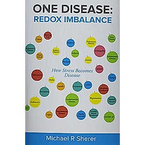 One Disease: Redox Imbalance: How stress becomes disease (The Redox Health Series)