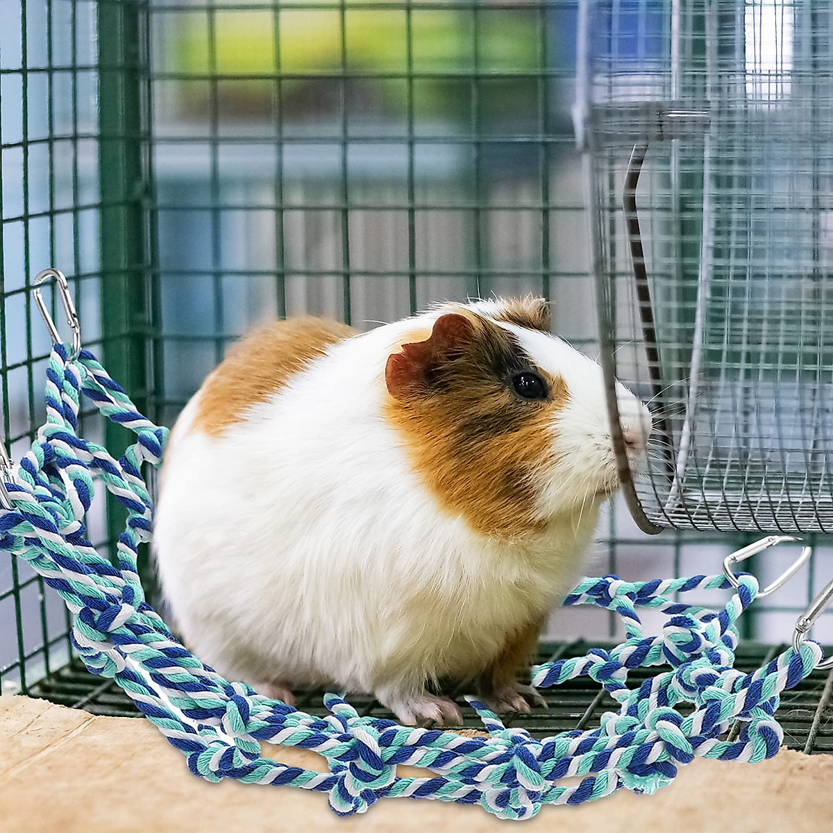 Berlune 6 Pcs Rat Ropes for Cage Rat Cage Accessories Climbing 12.6 x 9.84 Inch Bird Rope Toys for Pet Hammock Hamster Cotton Bridge Bird Ladder for Small Animal Habitat Play