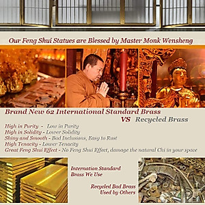 LOTONJT Brass Statue Miniature Ganoderma Mushroom Bonsai Sculpture Fairy Herb Feng Shui Money Tree Garden Yart Art Retro Metal Statue Indoor Decor Tearoom Metaphysical Talisman Wealth Prosperity