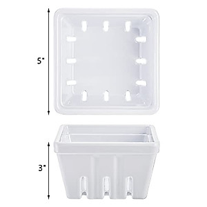 ZEAYEA Set of 2 Berry Basket, Melamine Berry Bowl With Holes, Square Kitchen Fruit Basket, 5" Colander for Strawberry, Grape, Cherry, Berries, Veggies