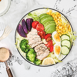 YUYHQCBT 8 Inch Set of 4 Assorted Designs, Porcelain Plates With Plants Patterns,Ceramic Dinnerware Plates, Dishware With Black Rim for Sandwiches Salad Pasta, Microwave Oven Dishwasher Safe