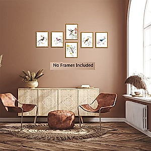 HONGRUIFAN Hummingbird Wall Art Canvas Flower Pictures Watercolor Artwork Prints Painting 8x10 inch Set of 6 Unframed for Kitchen