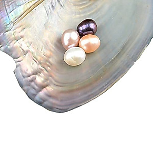 10 PC Freshwater Cultured Pearl Oyster Oval Pearls with White/Pink/Purple/Black, Birthday Gifts(7.5-8mm)