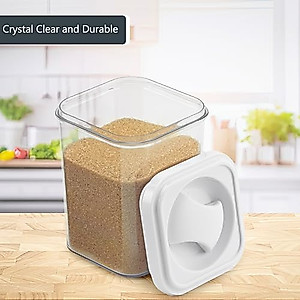 Everyday Solutions Airtight Food Storage Containers with Lids - Crystal Clear San Body Containers for Organizing Kitchen - Easy to Open/Close Lids with Ergonomic Knob Design - 1.1 QT