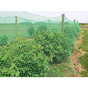 HSelar Best Bird Netting - Protect Plants and Fruit Trees from Birds and Wildlife – 13.12Ft x 49.2Ft Bird Netting with 50 Pcs Nylon Cable Ties - Reusable Instantly (Large Size)