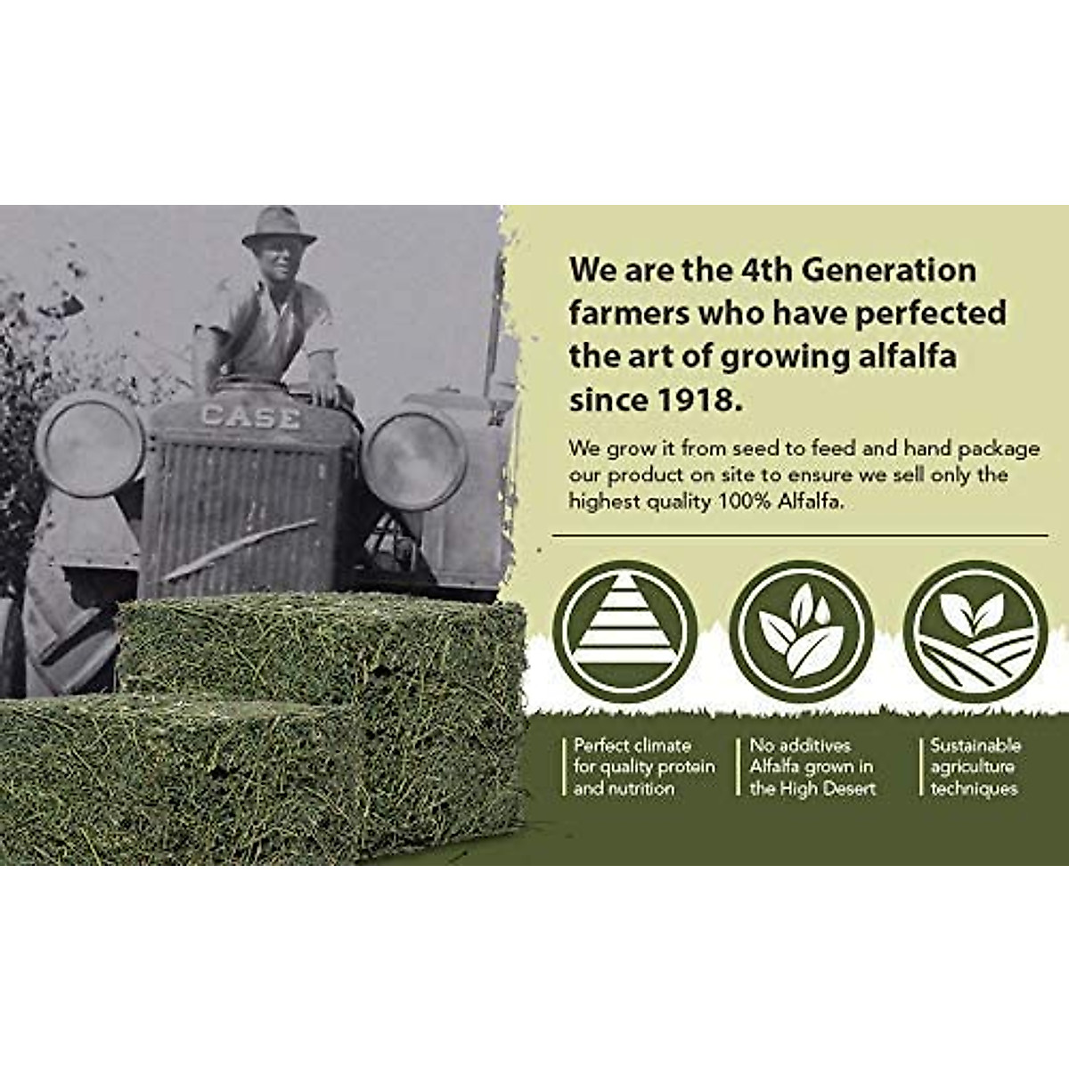 High Desert Alfalfa Hay - Dried Natural Alfalfa Hay for Rabbits, Guinea Pigs, Chinchillas, and Ferrets - Protein and Fiber Rich Food for Small Animals - Healthy Pet Food