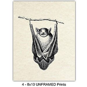 Bats Wall Decor - Bat Decorations - Bat Decor for Home - Creepy Gothic Wall Art - Goth Wall Decor - Pagan Gifts - Gothic Decor