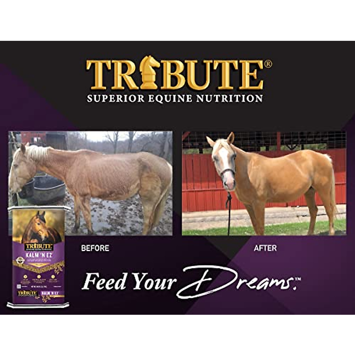 TRIBUTE Kalmbach Feeds Kalm 'N Ez Pellets for Horse, 50 lb