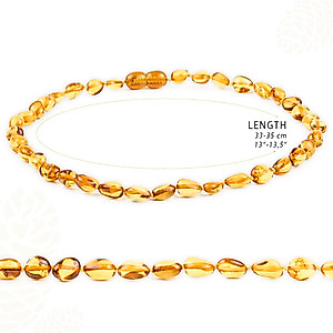 AMAZING AMBER Necklace - 100% Authentic Amber (Golden Honey, 13.5 inches), Certified Amber Necklace with Safety Clasp and Knotted Beads - Real Amber Necklace