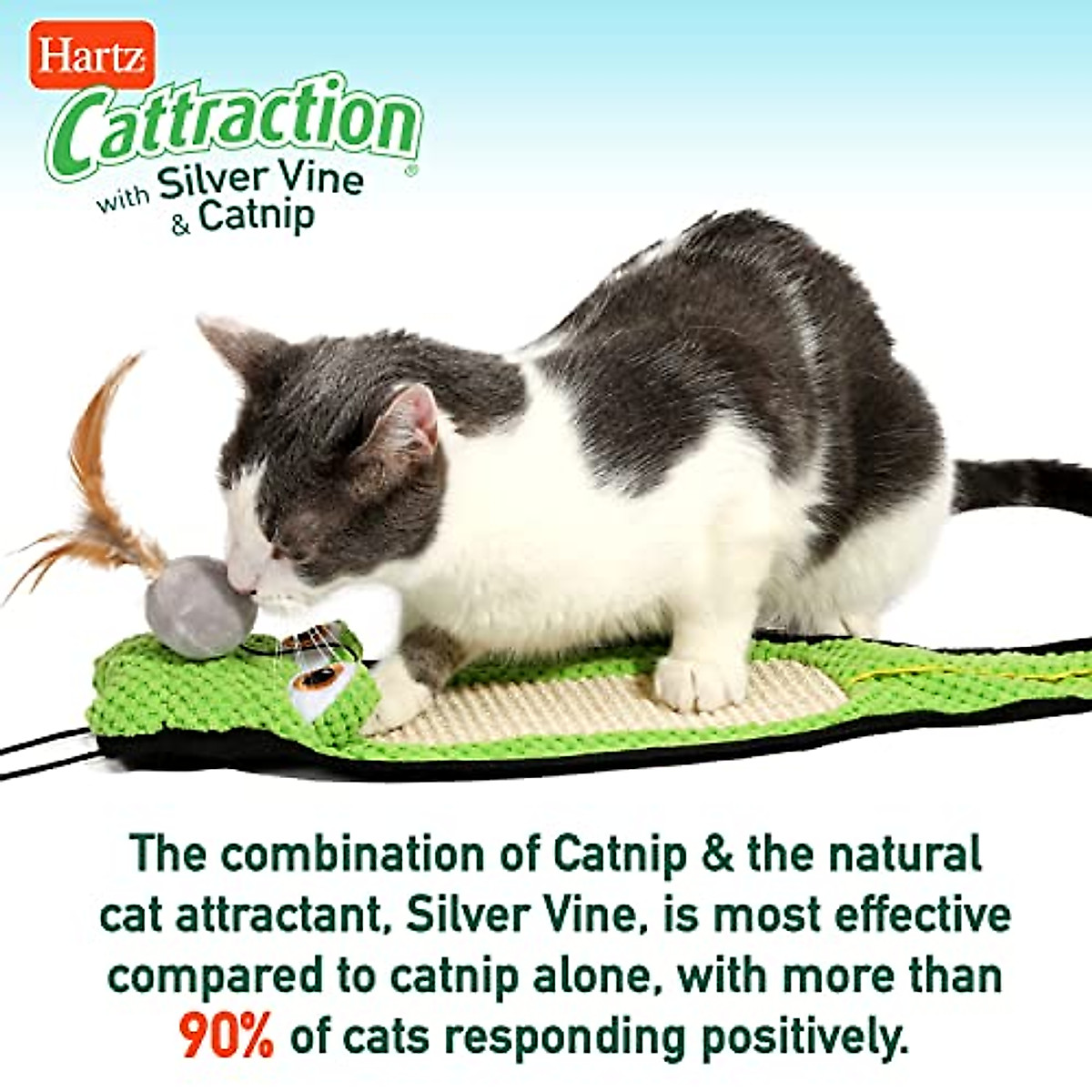 Hartz Cattraction with Silver Vine & Catnip Koi Dangler