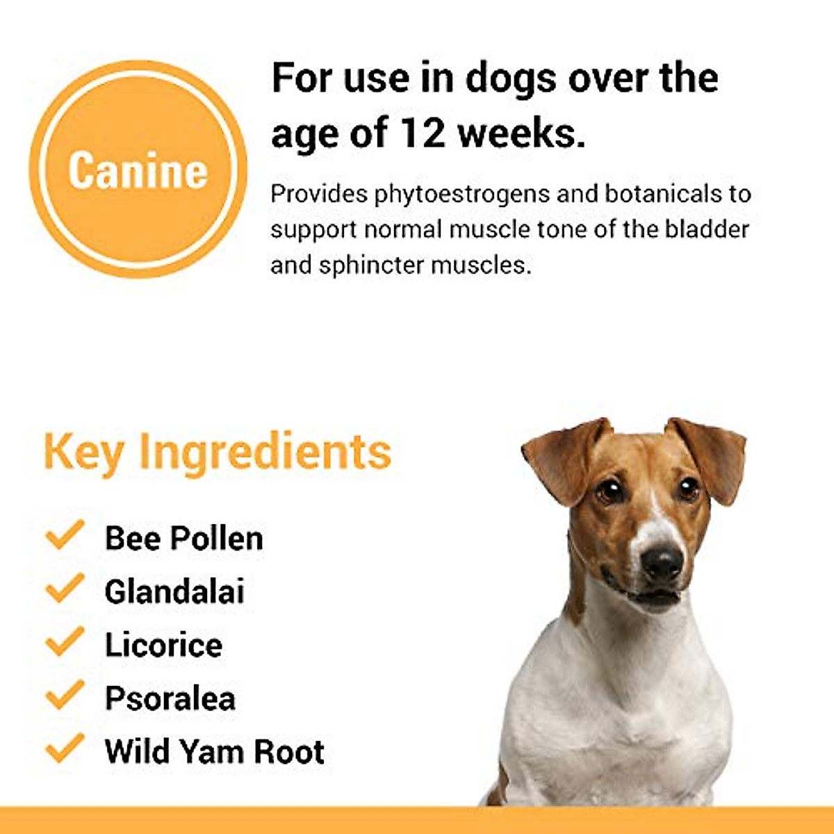 Vet Classics Bladder, Incontinence Support Dog Supplement – Supports Bladder Health for Dogs, Helps With Pet Incontinence – Includes Phytoestrogens, Botanicals – Chewable Tablets – 120 Ct.