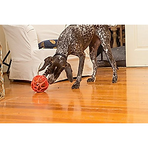 PetSafe Sportsmen Kibble Nibble - Refillable Kibble and Treat Toy - Meal Dispensing Dog Toy - Interactive Dog Toy for Anxiety and Fast Easters - Slow Down Meals - Slow Feeder Toy for Dogs