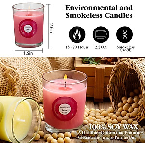 20 Pack Strong Scented Candles Gift Set with 10 Fragrances for Home and Women, Aromatherapy Soy Wax Glass Jar Candle