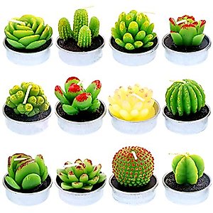 Glarks 12Pcs Unique Designs Cactus Tealight Candles Set, Handmade Delicate Succulent Cactus Artificial Succulents Tealight Candles Perfect for Birthday Party Valentine's Day Wedding Spa Home Decor