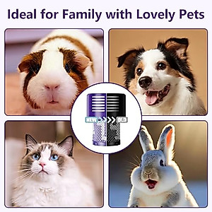 Funmit V10 Filters Replacement for Dyson V10 Cyclone Series, V10 Absolute, V10 Animal, V10 Total Clean, V10 Motorhead, SV12 Vacuum Cleaner, Replaces Part # 969082-01, 2 Pack